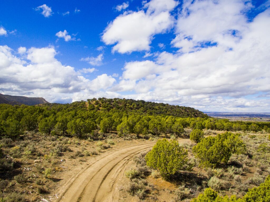 Southwest Colorado Elk Hunting - Mesa Verde Ranch - M4 Ranch Group