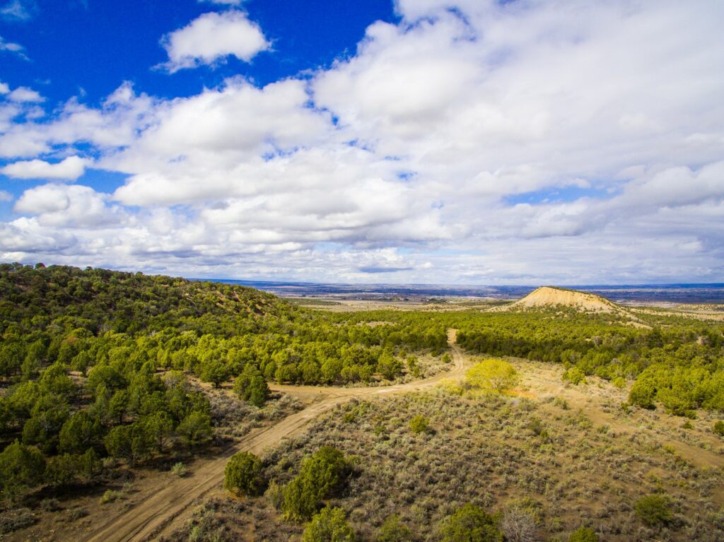 Southwest Colorado Elk Hunting - Mesa Verde Ranch - M4 Ranch Group