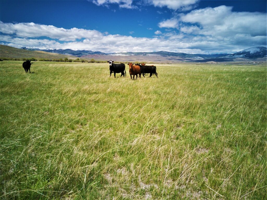 Saguache County, Colorado Land For Sale - Historical Razor Creek Ranch