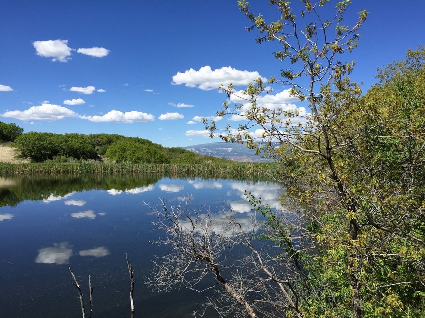 Land For Sale Mesa, Colorado - Bull Basin - M4 Ranch Group