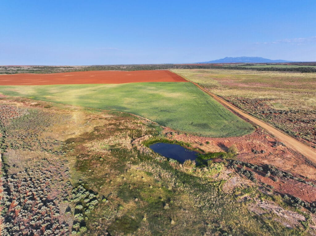 Dolores County Ranch For Sale Colorado | Hunting | Farm | Land