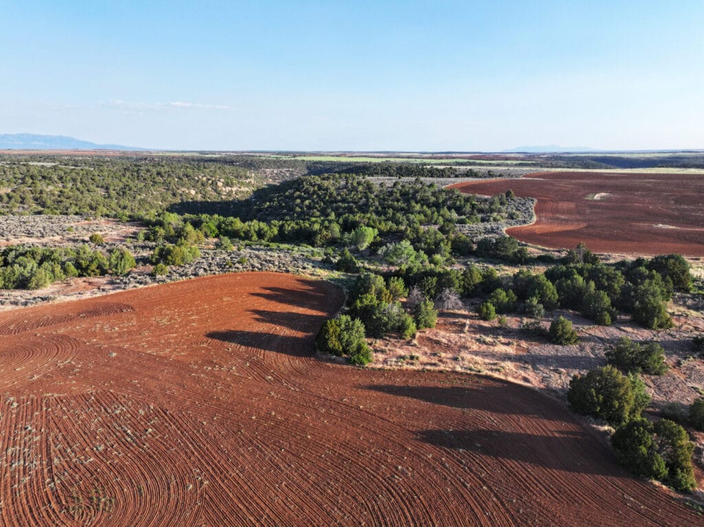 Dolores County Ranch For Sale Colorado | Hunting | Farm | Land