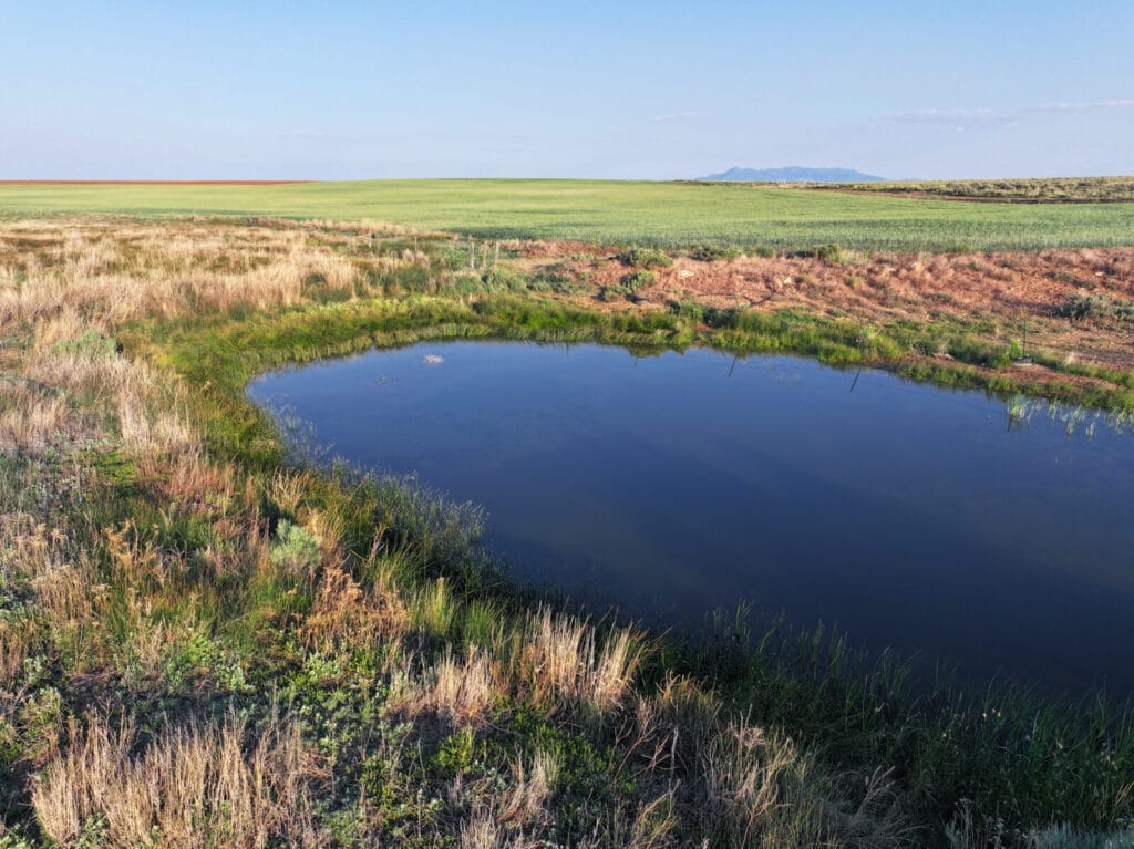 Dolores County Ranch For Sale Colorado | Hunting | Farm | Land