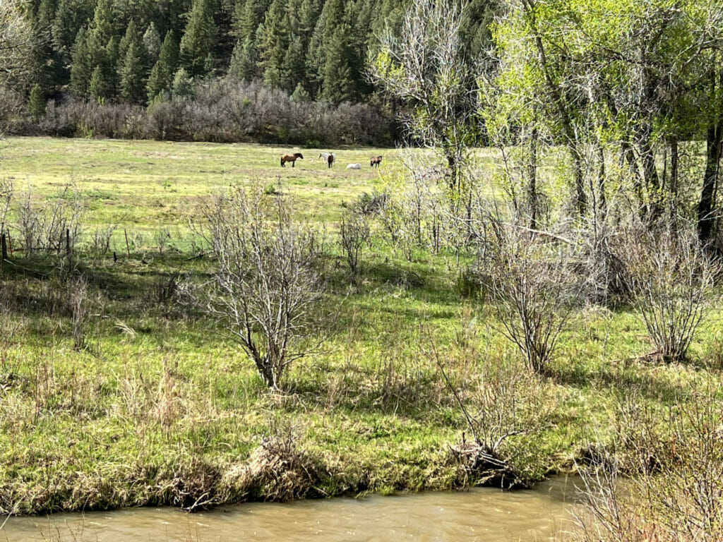 Navajo River Confluence Ranch For Sale Colorado | 195± Acres