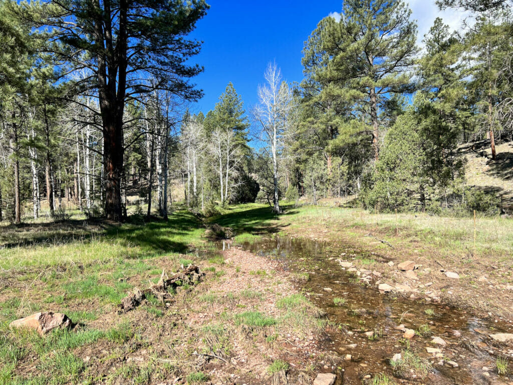 Bluewater Creek Ranch For Sale New Mexico | M4 Ranch Group