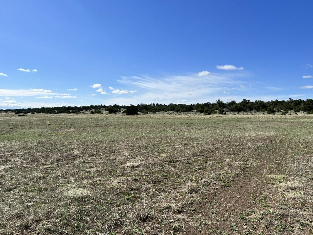 Western Bell Ranch | New Mexico Big Game Hunting Ranch | View