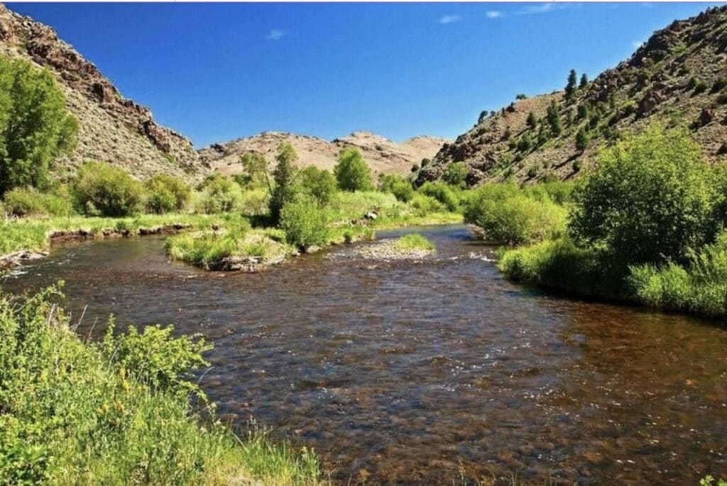Cebolla Creek Shared Ranch For Sale in Colorado | M4 Ranch Group