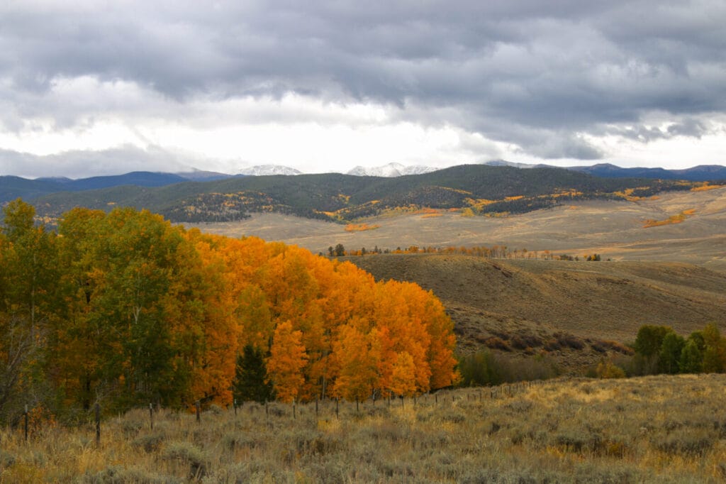 Tomichi Dome Hunting Ranch For Sale in Colorado | 860± Acres