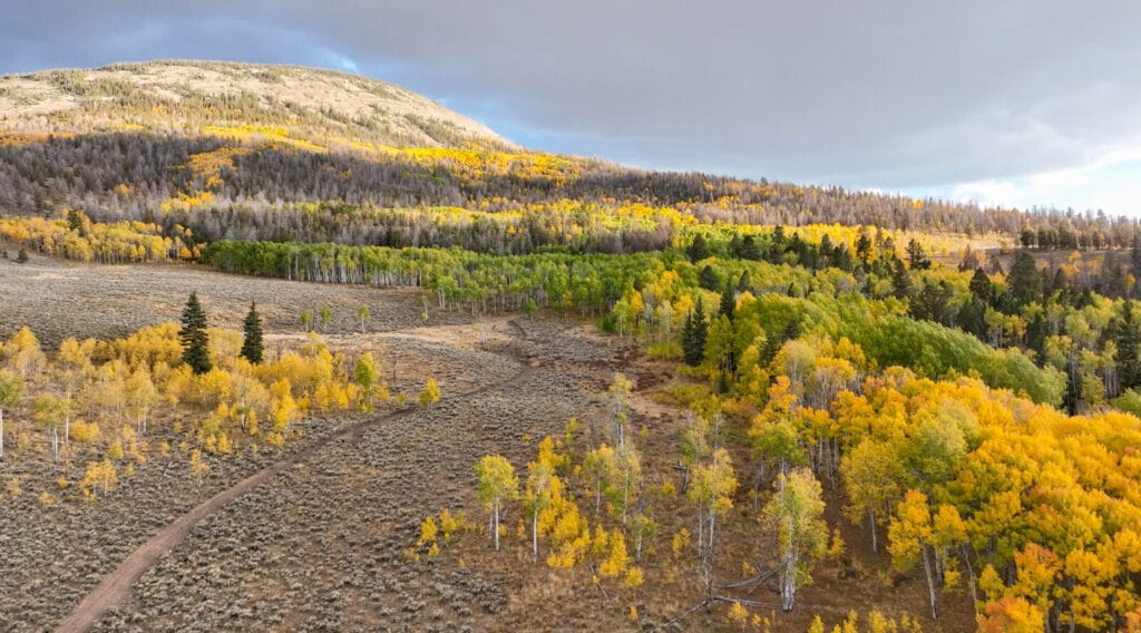 Tomichi Dome Hunting Ranch For Sale in Colorado | 860± Acres