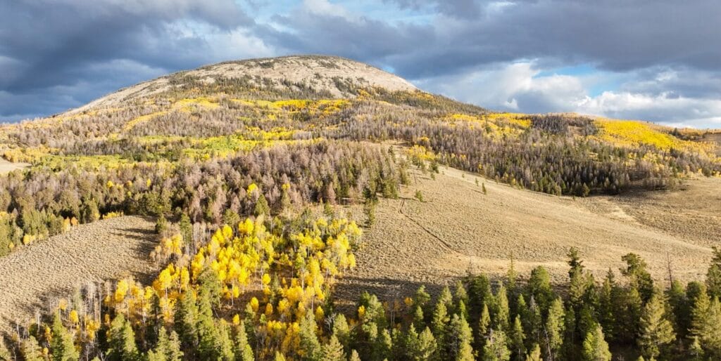 Tomichi Dome Hunting Ranch For Sale in Colorado | 860± Acres