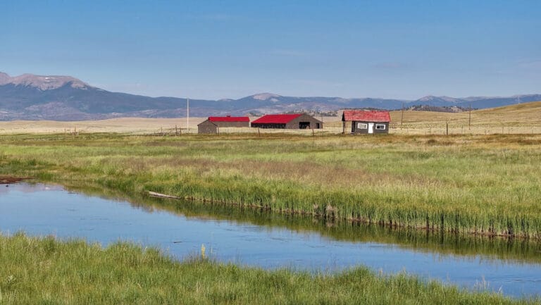 Colorado Cattle Ranches for Sale | grazing & fertile land for cattle