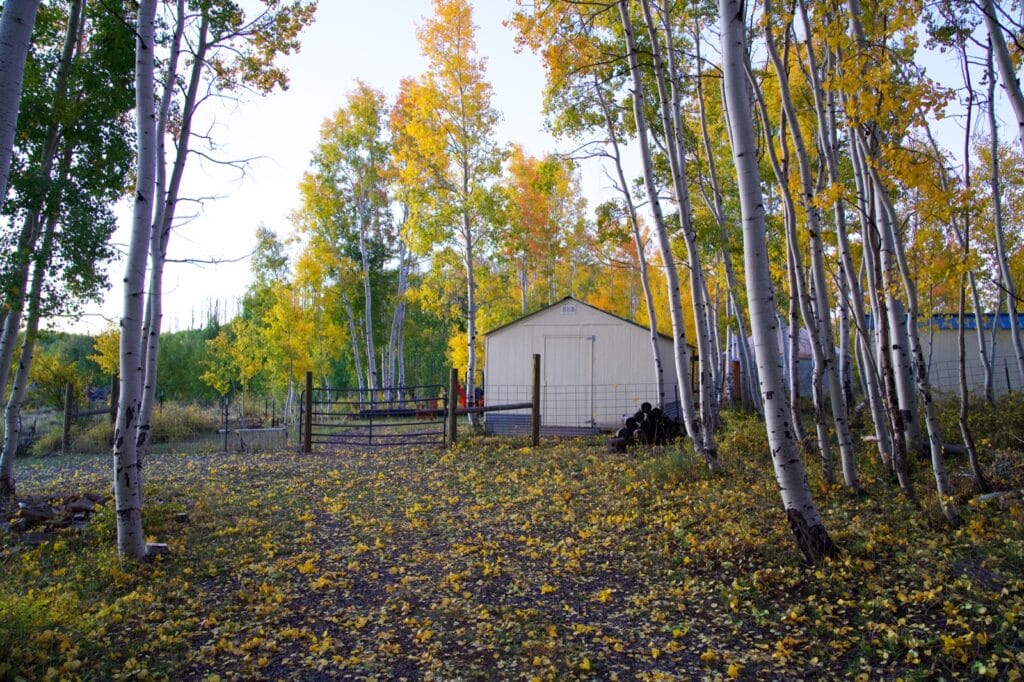 Grand Mesa Ranch For Sale, Colorado | Cattle and Hunting Land