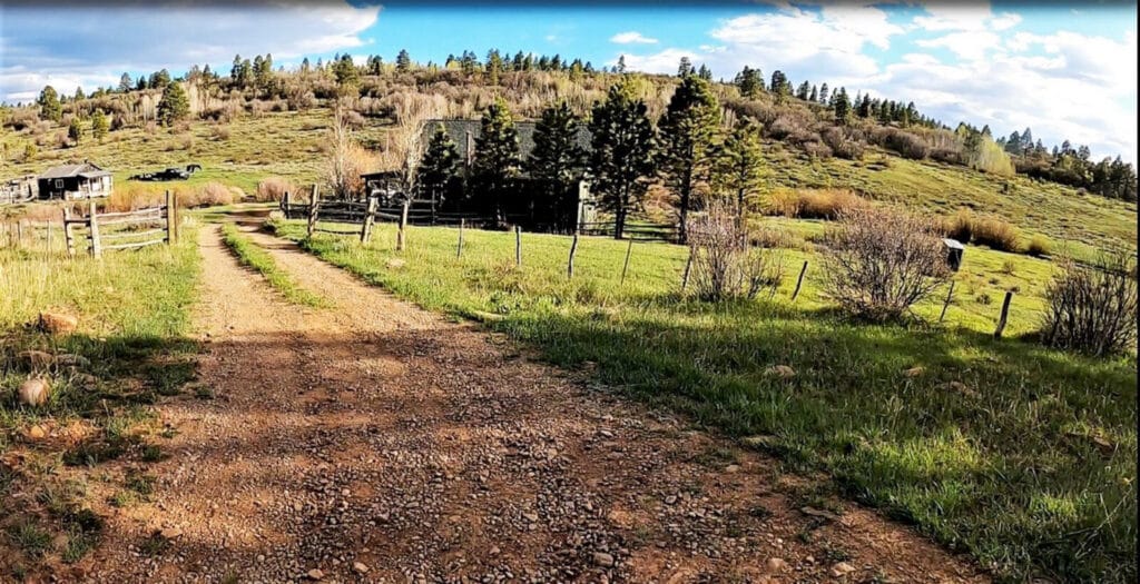 Wagyu X Diamond Ranch For Sale Colorado | M4 Ranch Group