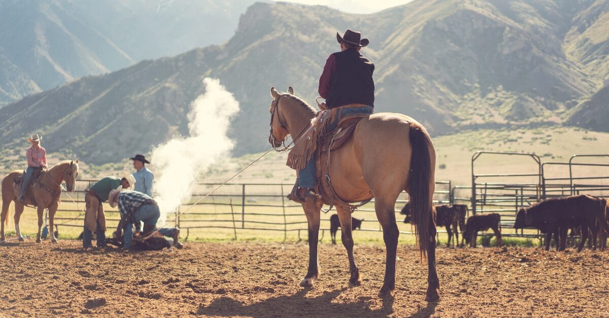 What are the Different Types of Ranch Land | M4 Ranch Group