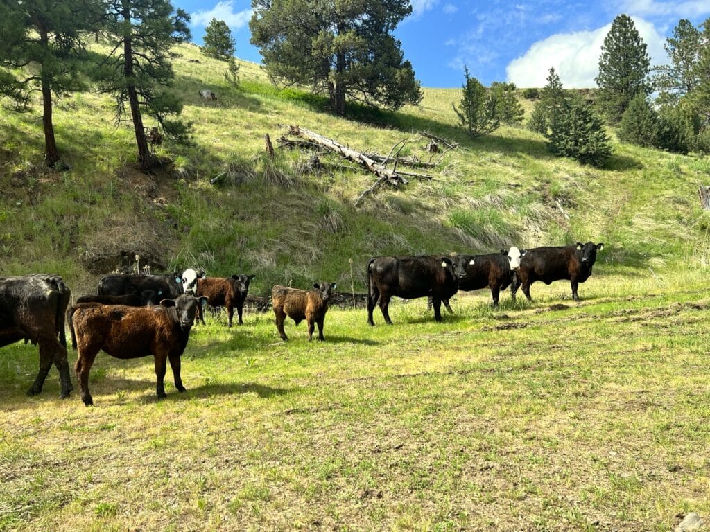 Heavens Gate On The John Day River Ranch For Sale | Oregon