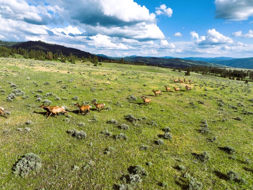 Heavens Gate On The John Day River Ranch For Sale | Oregon