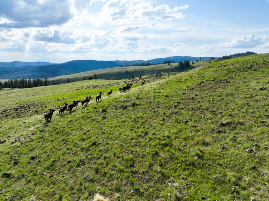 Heavens Gate On The John Day River Ranch For Sale | Oregon