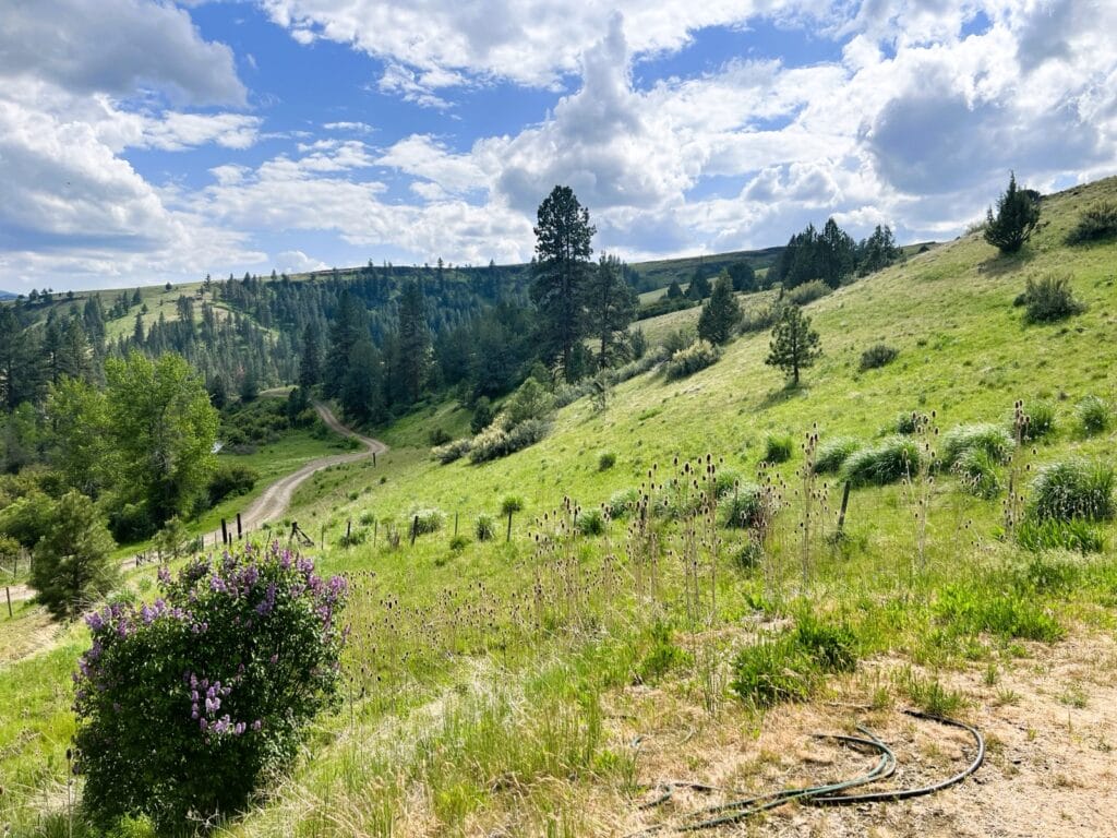 Heavens Gate On The John Day River Ranch For Sale | Oregon