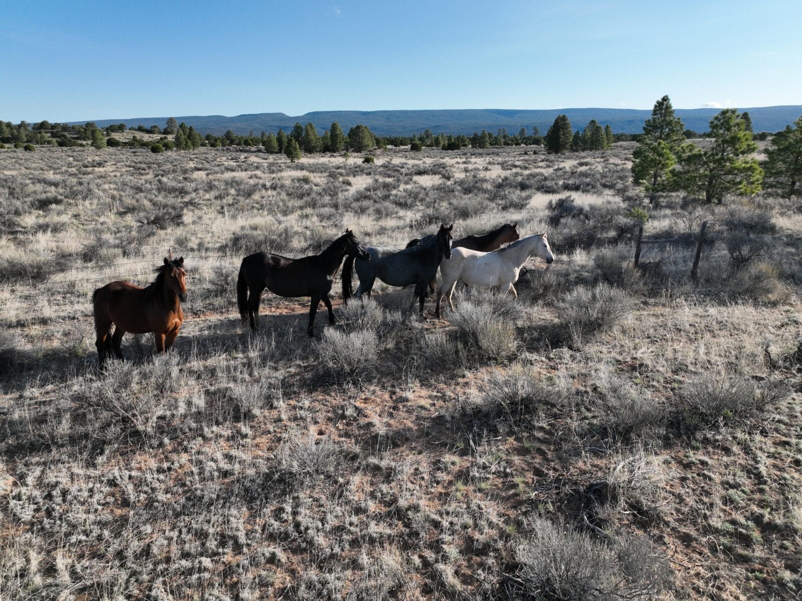 What are the Different Types of Ranch Land | M4 Ranch Group