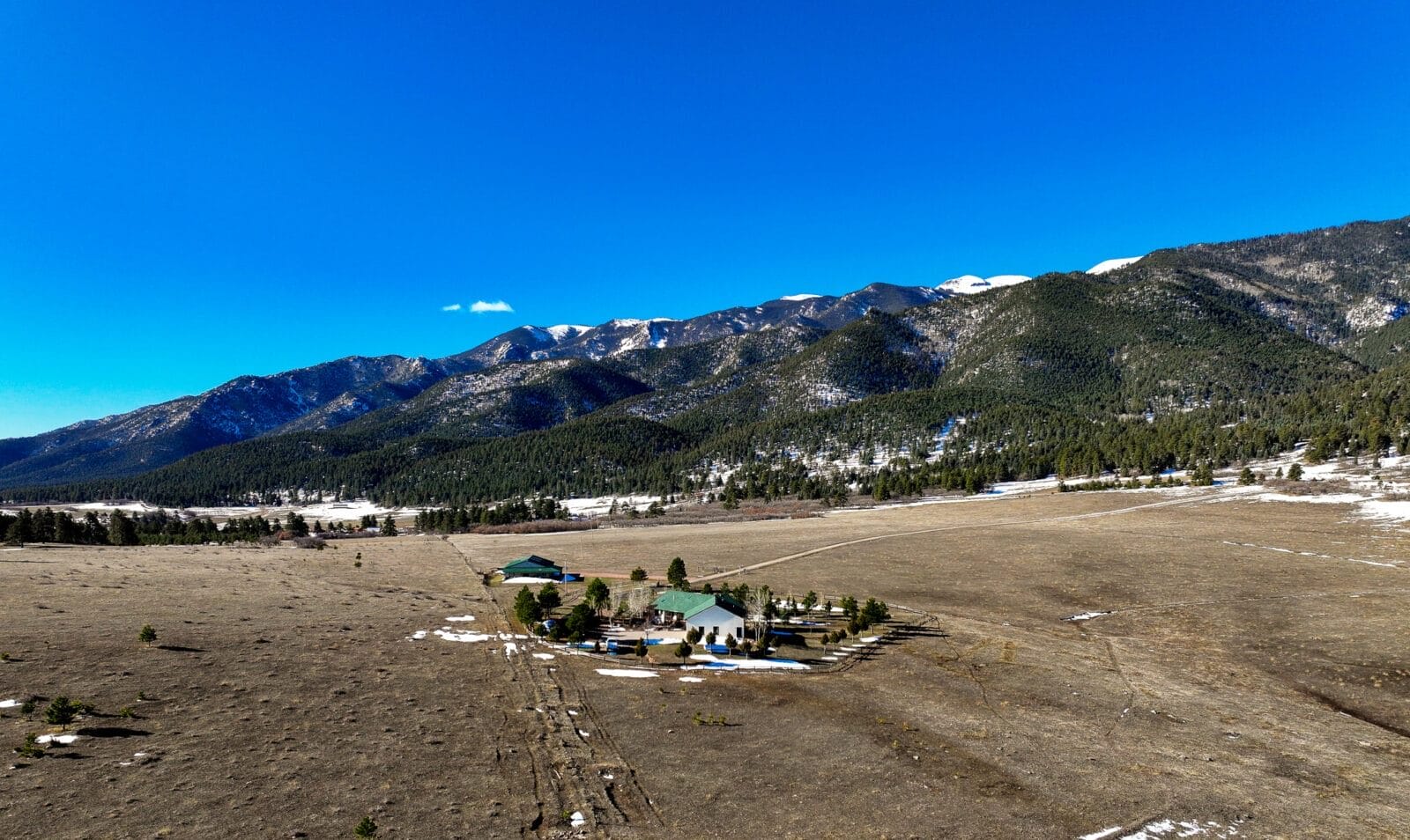 Search Results — M4 Ranch Group