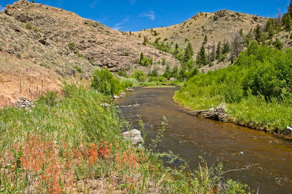 Brown Trout Ranch For Sale in Colorado | Fishing | Live Water