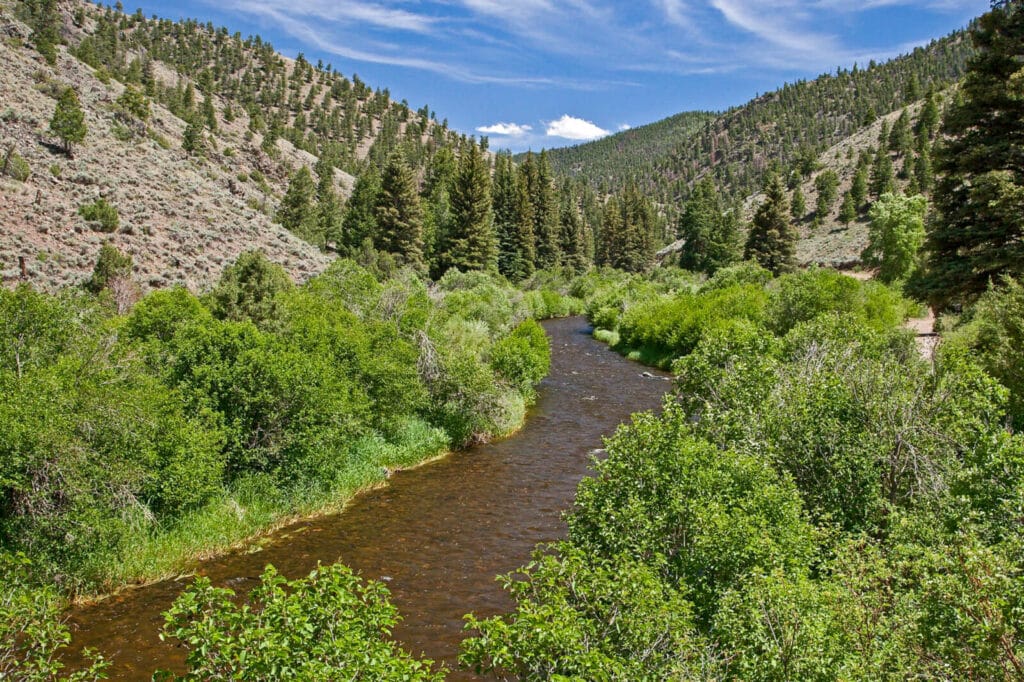 Brown Trout Ranch For Sale in Colorado | Fishing | Live Water