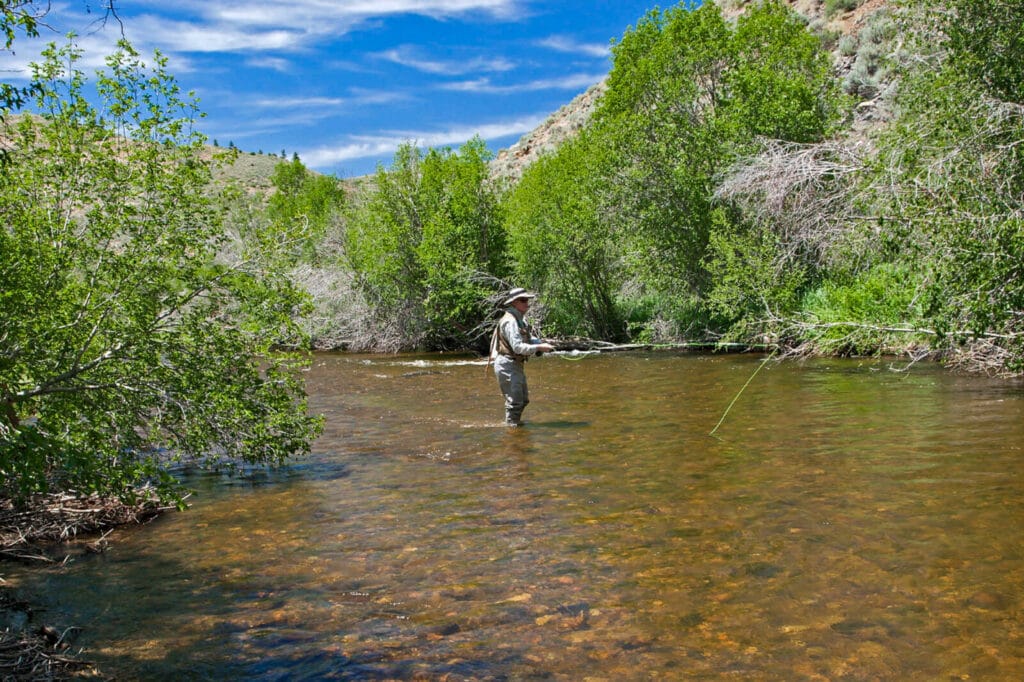 Brown Trout Ranch For Sale in Colorado | Fishing | Live Water