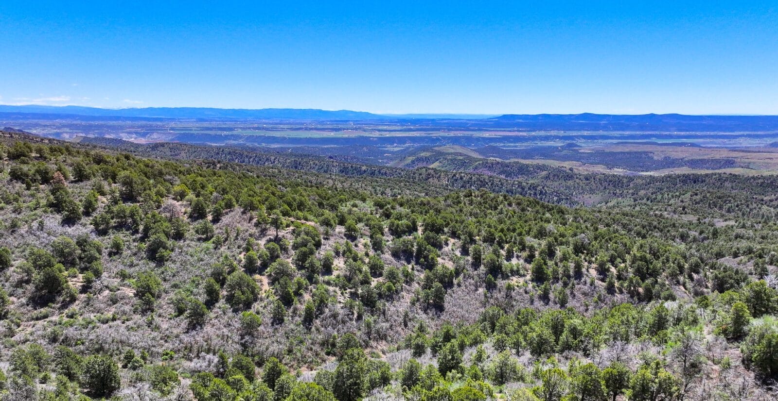 Knighthorse Ranch For Sale Colorado | 315+ Acres | Hunting Land
