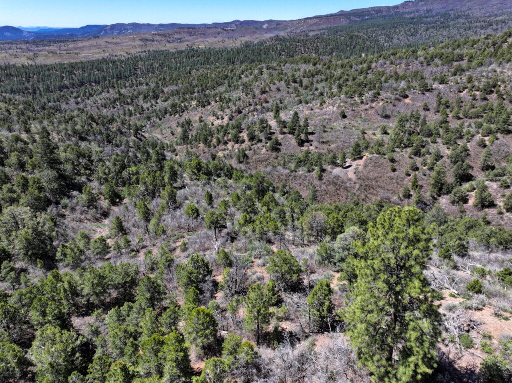 Knighthorse Ranch For Sale Colorado | 315+ Acres | Hunting Land