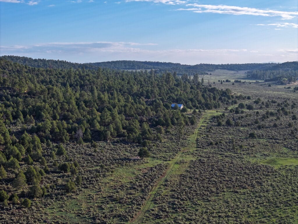 Maverick Valley Ranch For Sale New Mexico | M4 Ranch Group