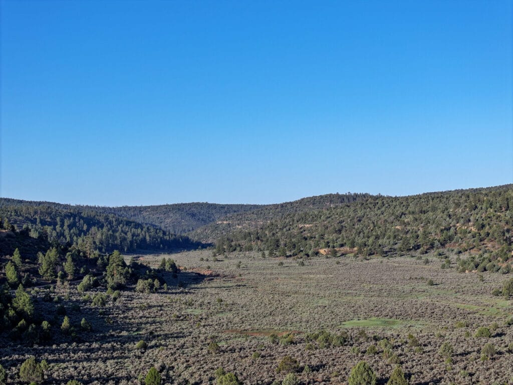 Maverick Valley Ranch For Sale New Mexico | M4 Ranch Group