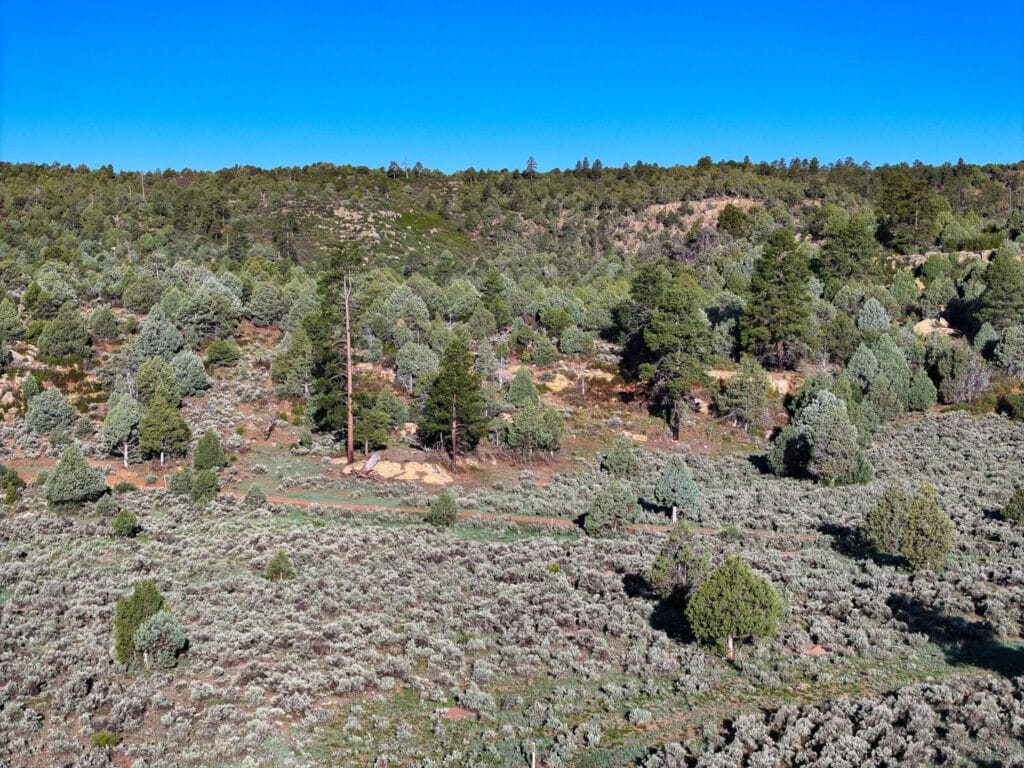 Maverick Valley Ranch For Sale New Mexico | M4 Ranch Group