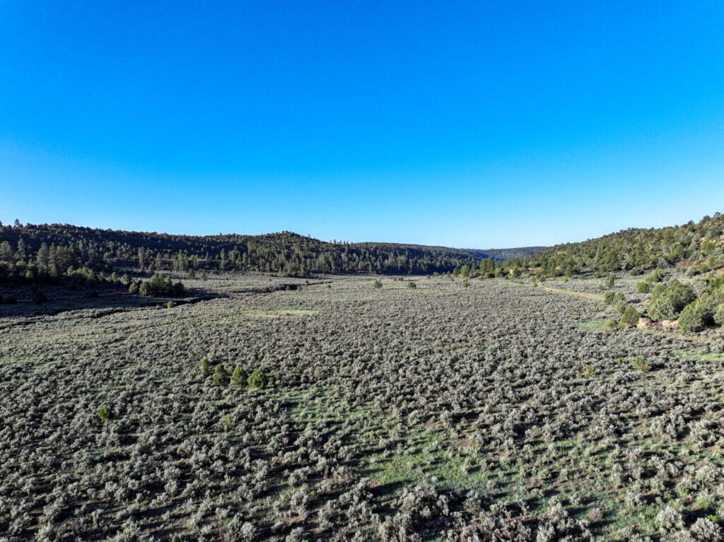 Maverick Valley Ranch For Sale New Mexico | M4 Ranch Group