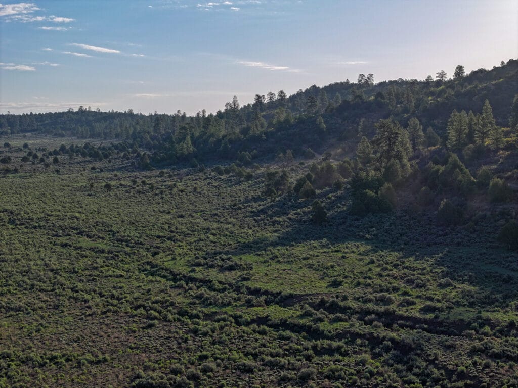 Maverick Valley Ranch For Sale New Mexico | M4 Ranch Group