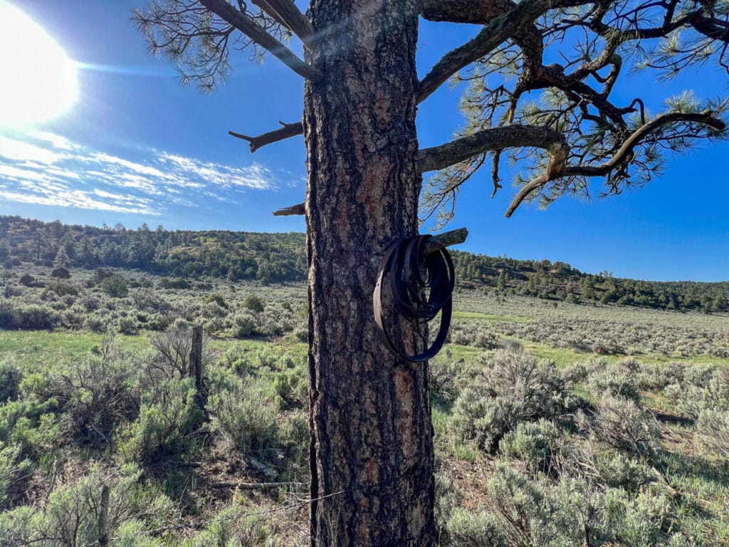 Maverick Valley Ranch For Sale New Mexico | M4 Ranch Group