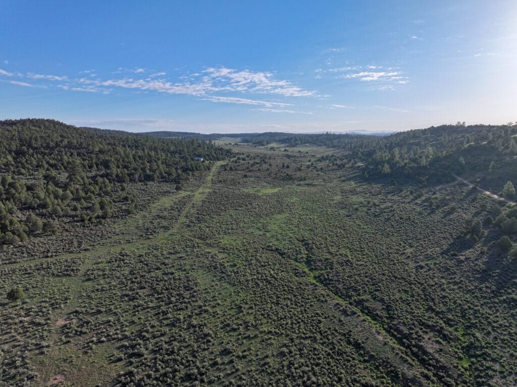 Maverick Valley Ranch For Sale New Mexico | M4 Ranch Group