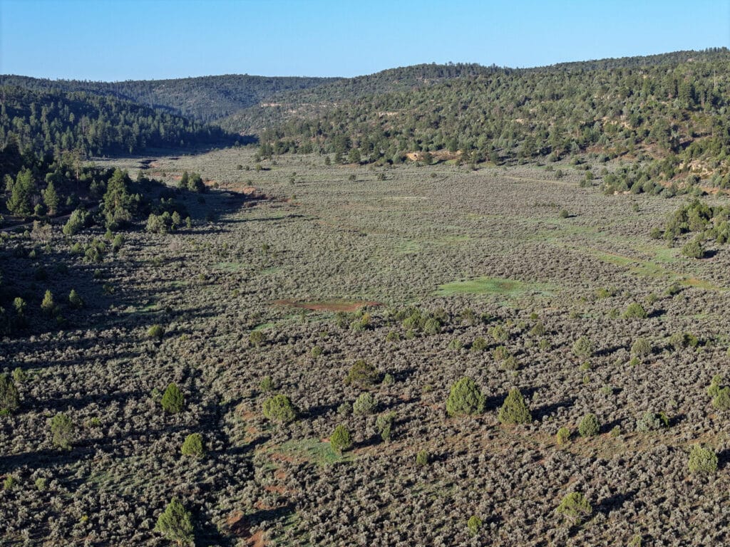 Maverick Valley Ranch For Sale New Mexico | M4 Ranch Group