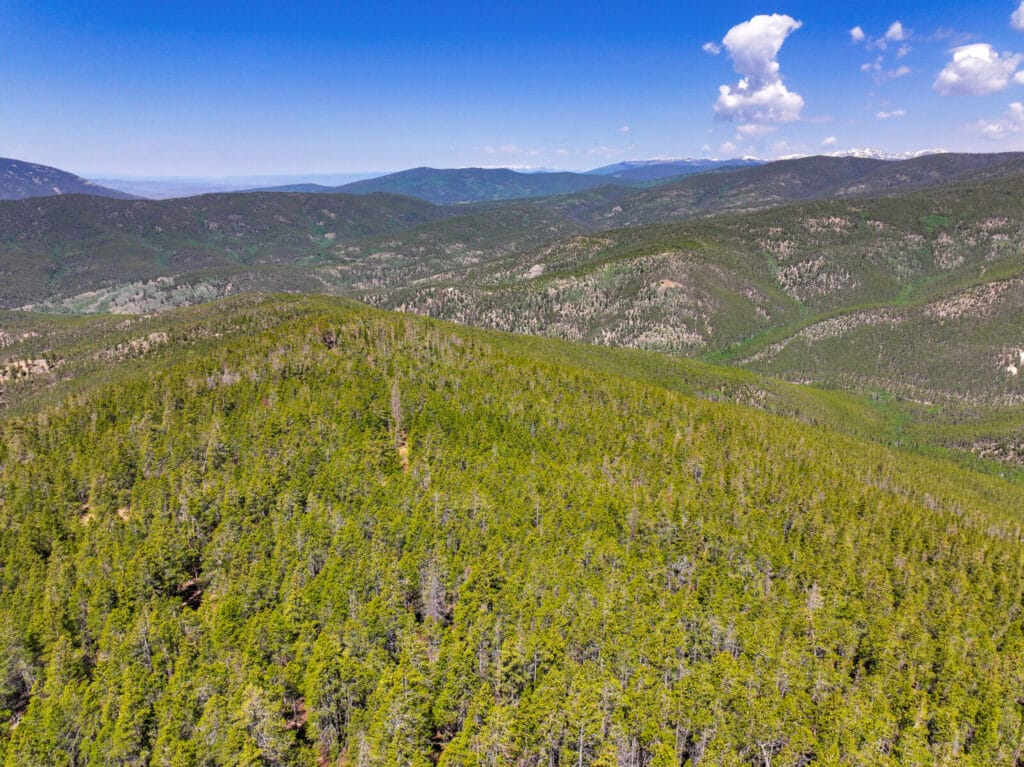 Deadman’s Gulch Hunting Land For Sale Colorado | 170+ Acres