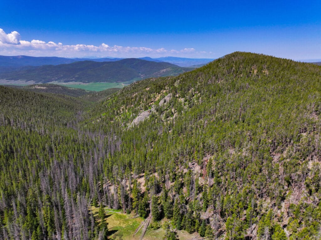 Deadman’s Gulch Hunting Land For Sale Colorado | 170+ Acres