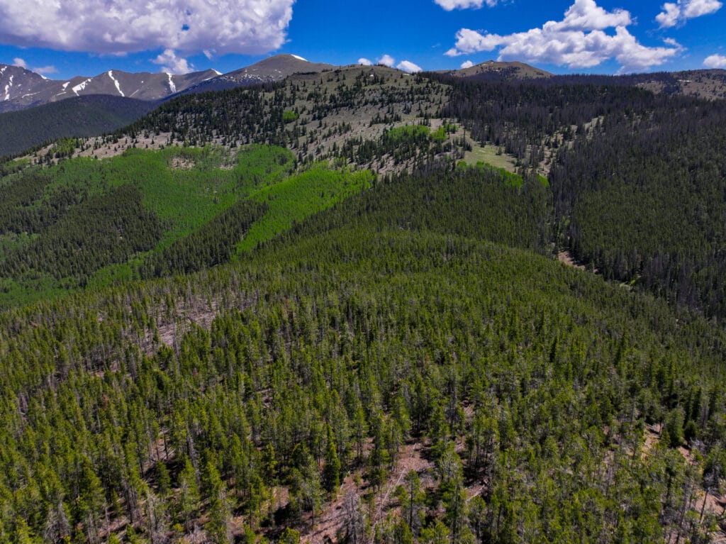 Deadman’s Gulch Hunting Land For Sale Colorado | 170+ Acres