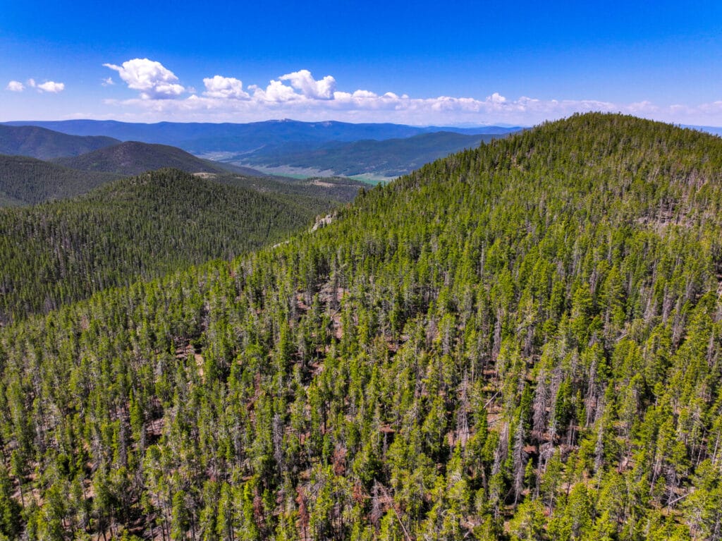 Deadman’s Gulch Hunting Land For Sale Colorado | 170+ Acres