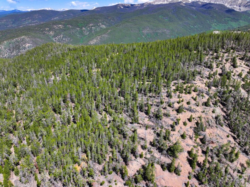 Deadman’s Gulch Hunting Land For Sale Colorado | 170+ Acres