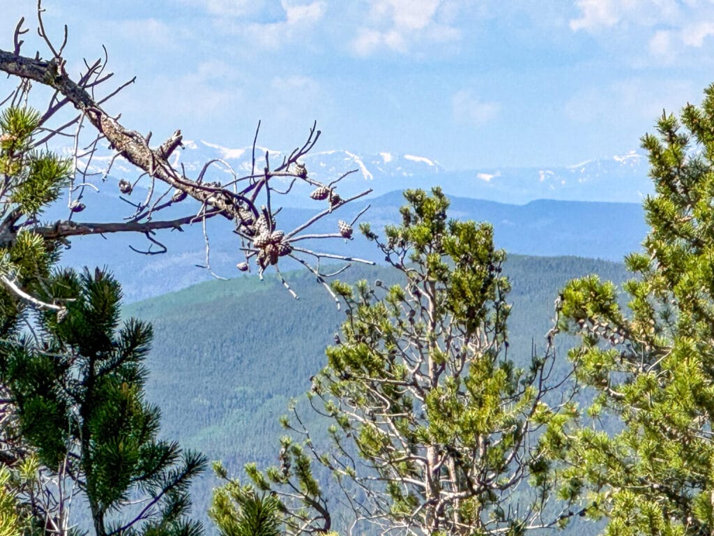 Deadman’s Gulch Hunting Land For Sale Colorado | 170+ Acres