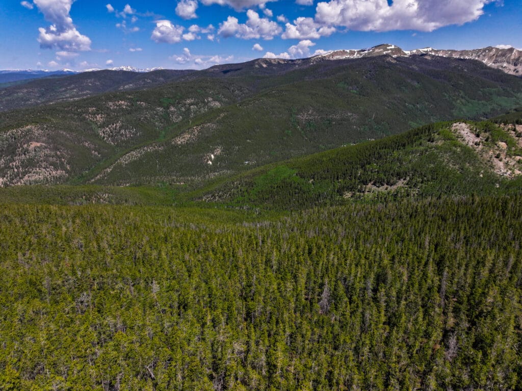 Deadman’s Gulch Hunting Land For Sale Colorado | 170+ Acres