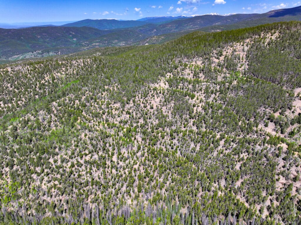 Deadman’s Gulch Hunting Land For Sale Colorado | 170+ Acres