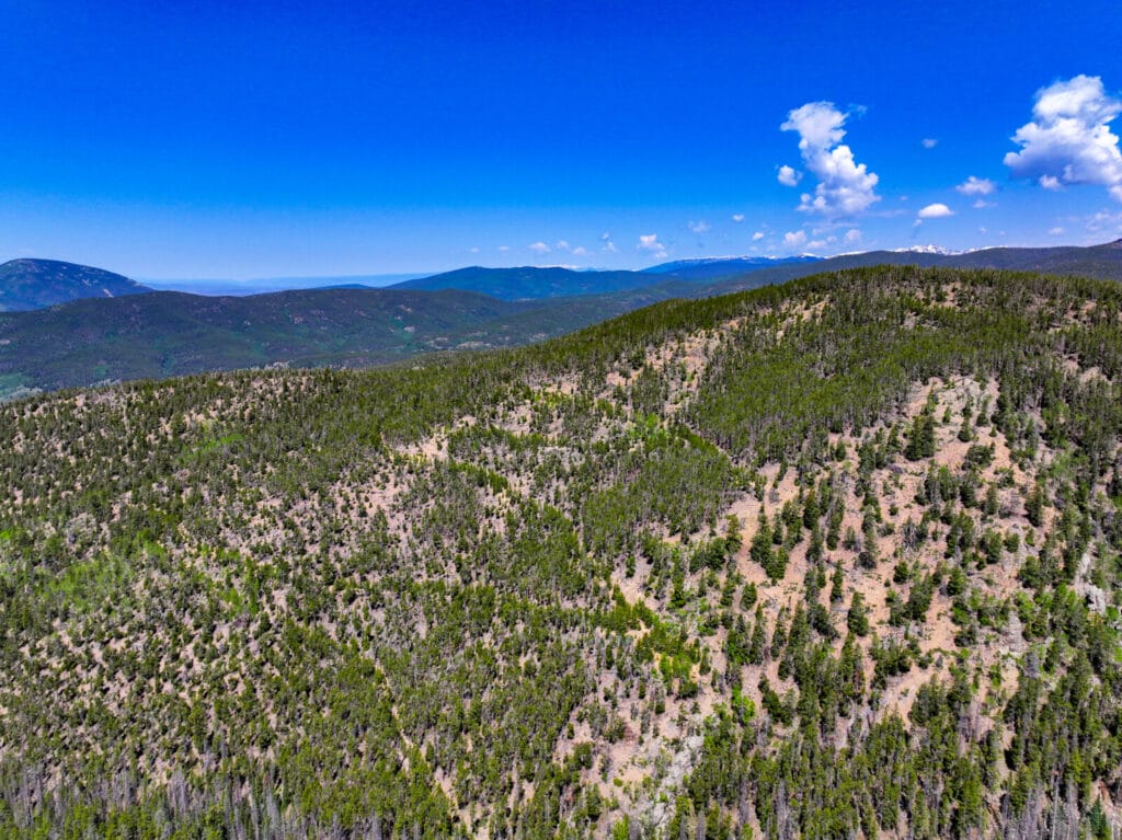 Deadman’s Gulch Hunting Land For Sale Colorado | 170+ Acres