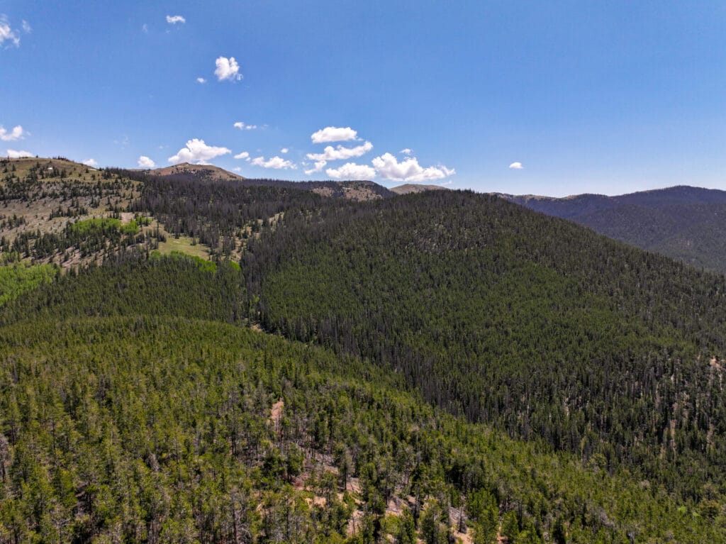 Deadman’s Gulch Hunting Land For Sale Colorado | 170+ Acres