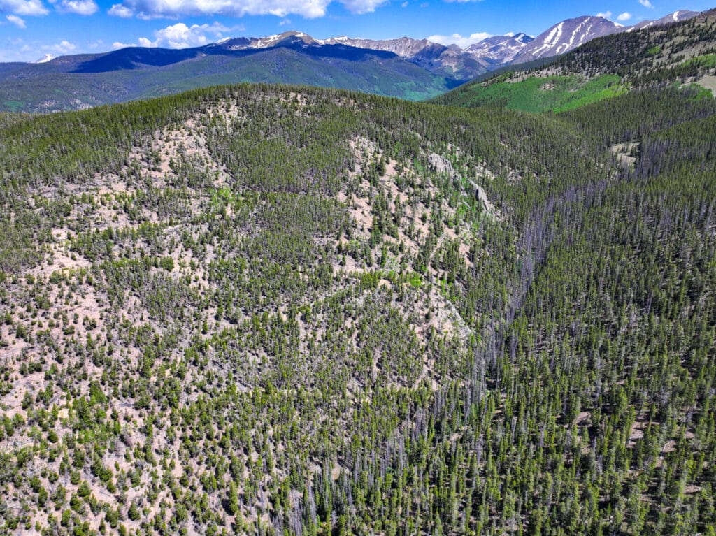 Deadman’s Gulch Hunting Land For Sale Colorado | 170+ Acres