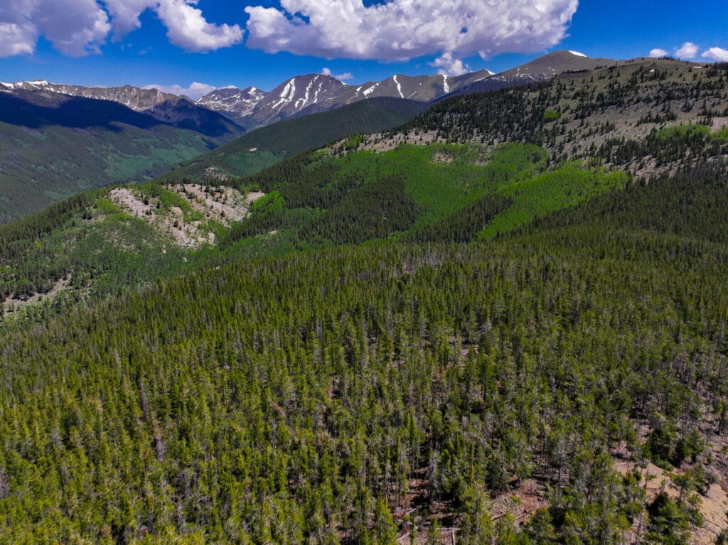Deadman’s Gulch Hunting Land For Sale Colorado | 170+ Acres