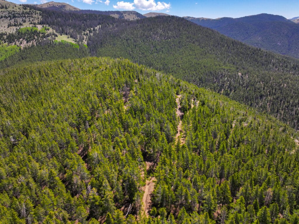 Deadman’s Gulch Hunting Land For Sale Colorado | 170+ Acres